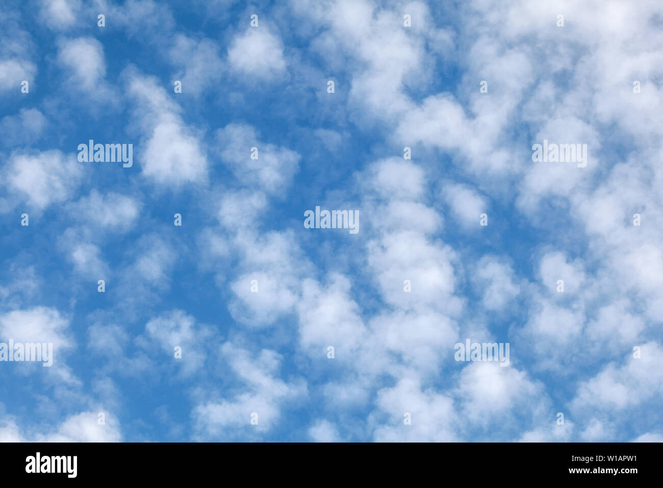 Blue sky lots small clouds hi-res stock photography and images - Alamy