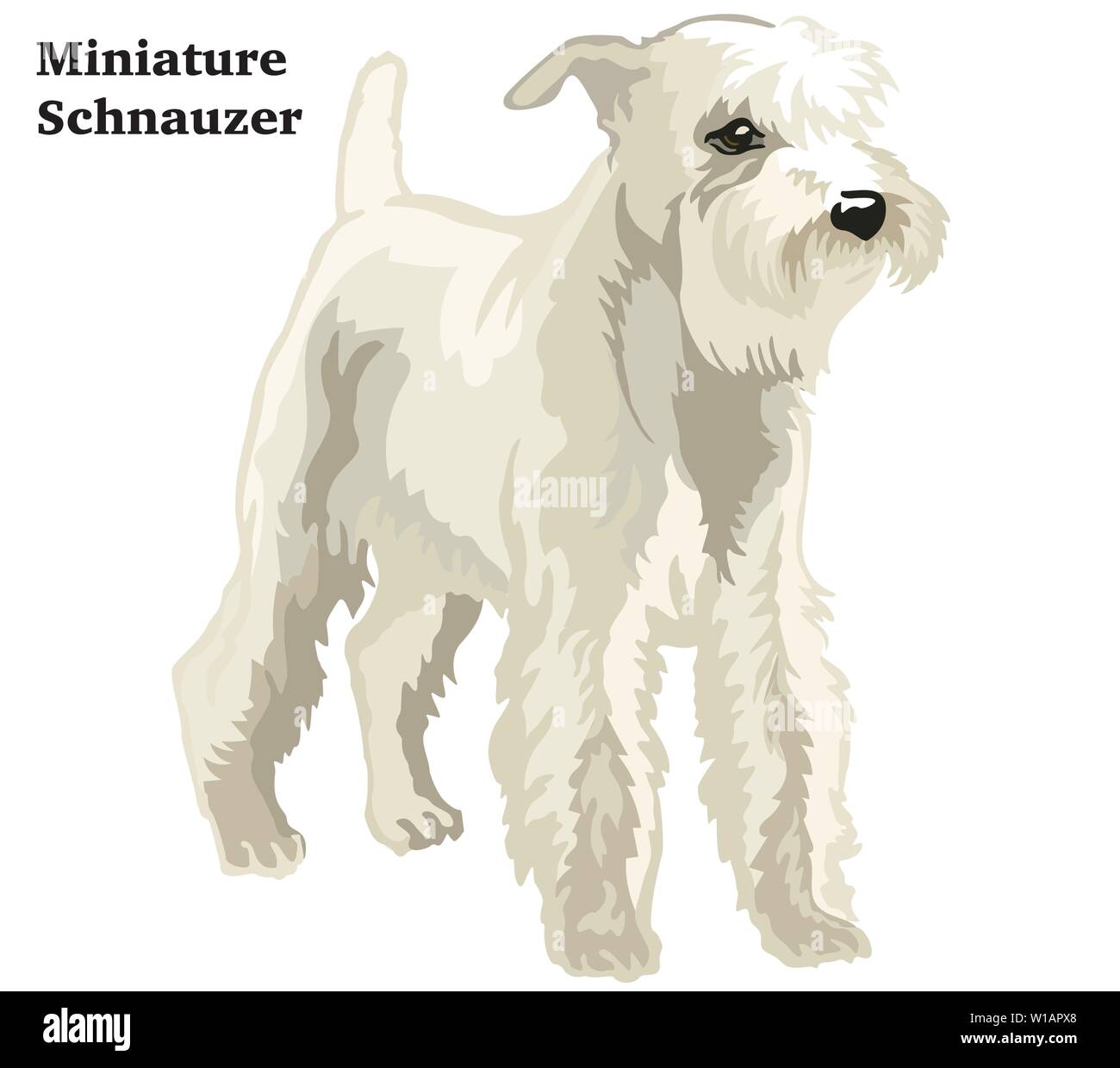 Schnauzer icon vector vectors hi-res stock photography and images - Alamy