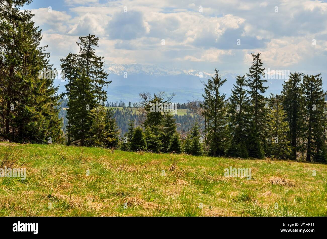 Beautiful mountain spring landscape. Beautiful peaks and charming ...