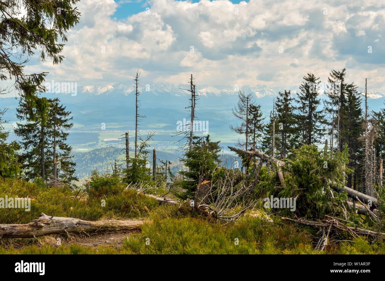 Beautiful mountain spring landscape. Charming view of the valley ...