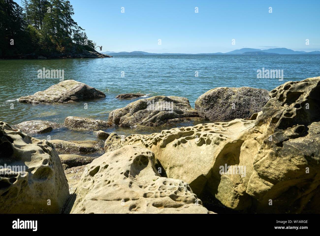 Samish Bay, Larrabee State Park, Washington. The shoreline of Larrabee ...