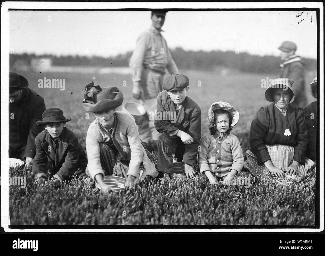 Annette Roy, the youngest worker, 7 years old. Picked last summer. Also ...