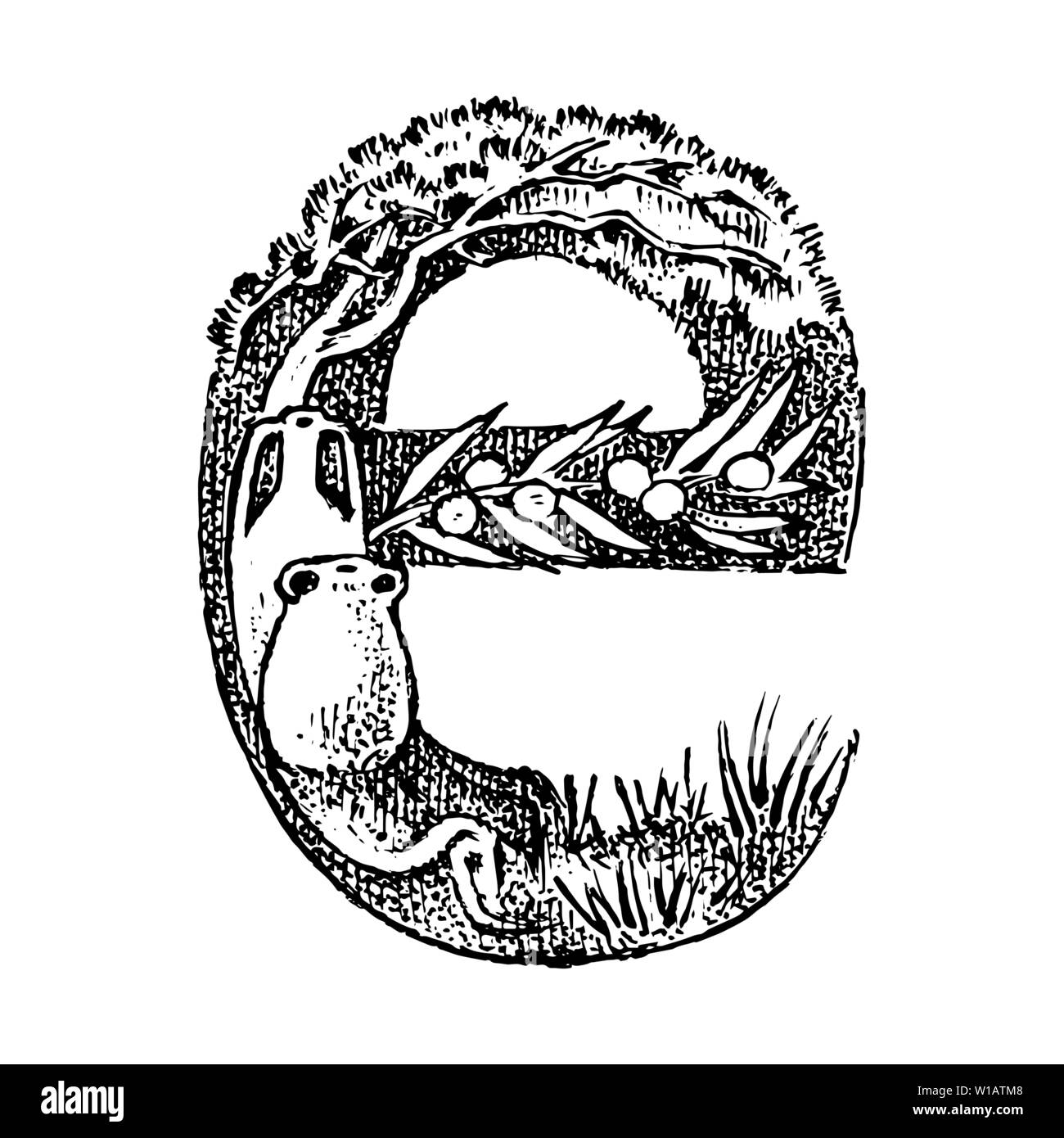 Illuminated letter e hi-res stock photography and images - Alamy