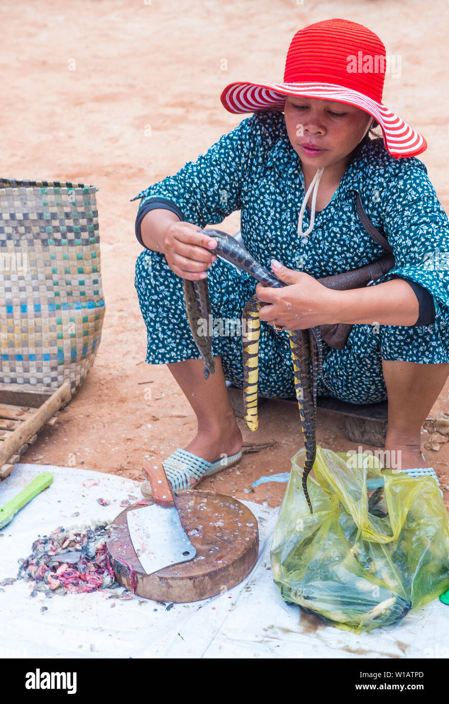 Cambodian woman selling snakes in a market in Siem Reap Cambodia Stock ...