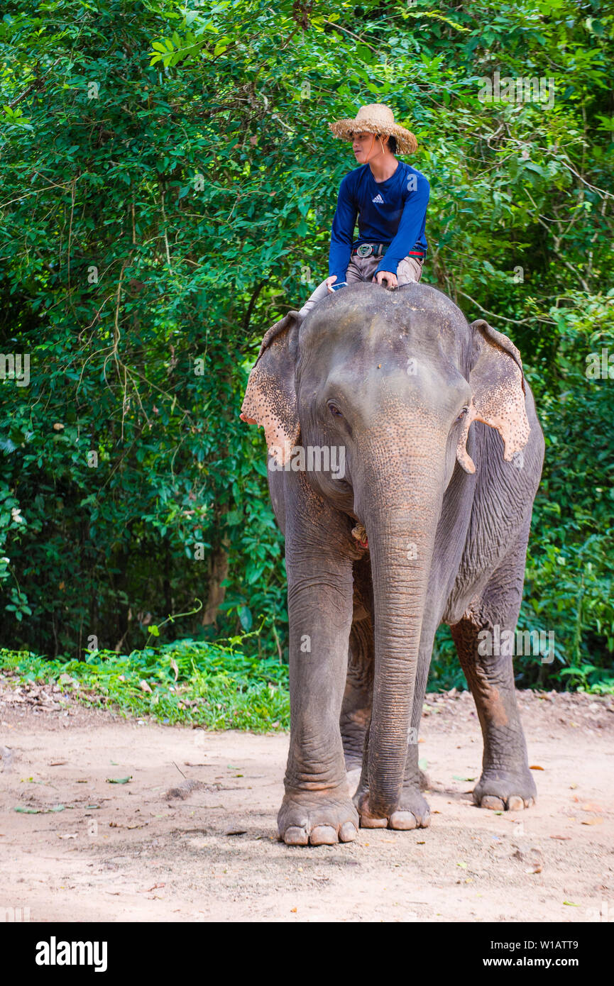 Man riding an elephant hi-res stock photography and images - Alamy