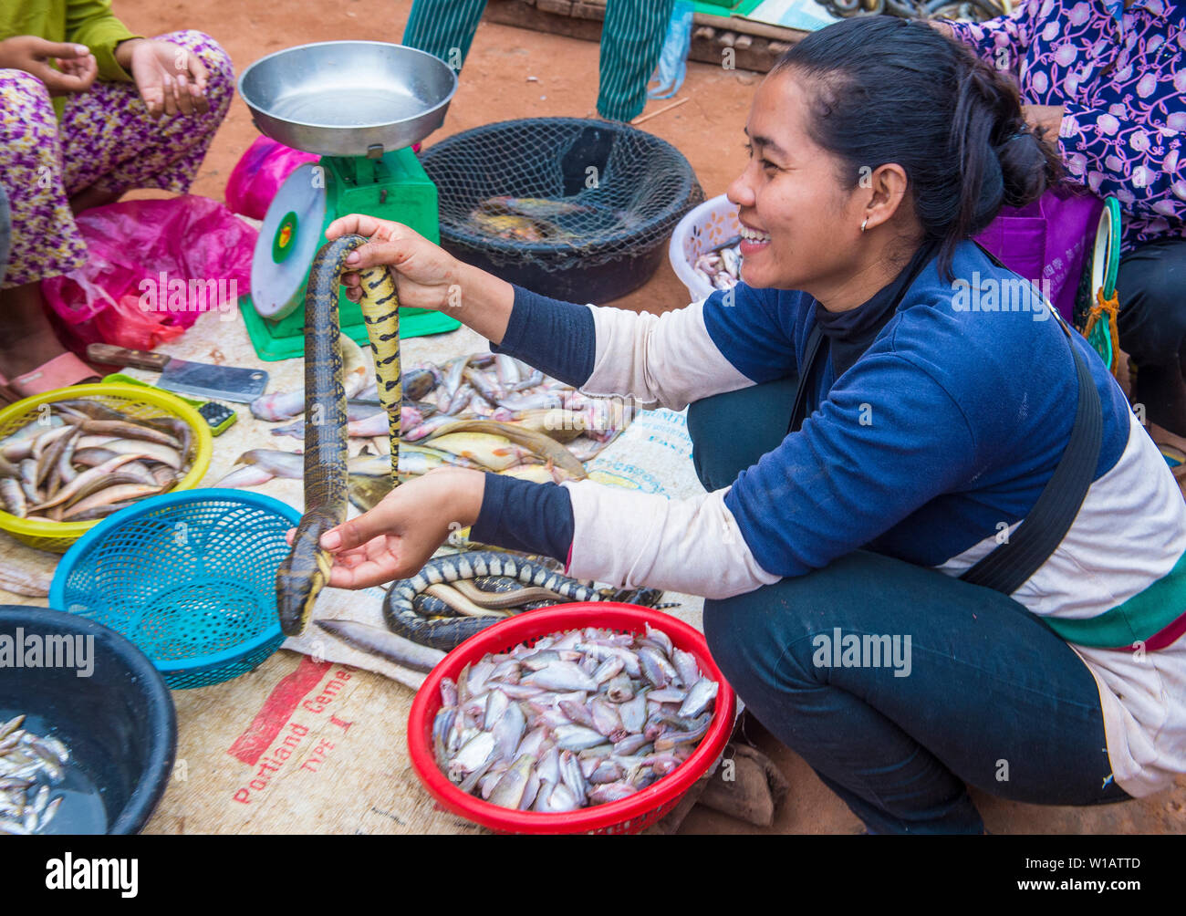 Cambodian woman selling snakes in a market in Siem Reap Cambodia Stock ...