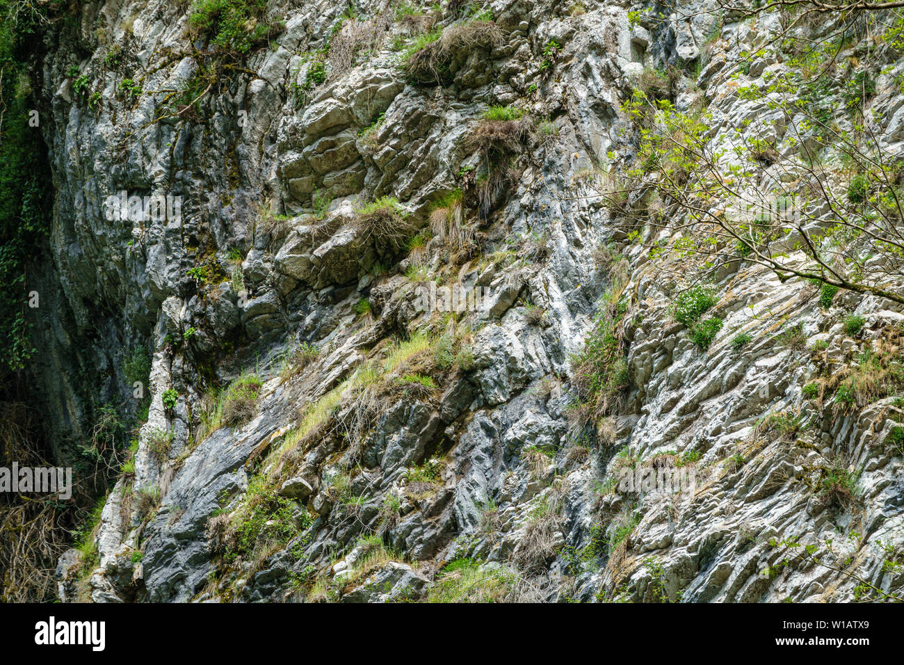 Rock of layered stone overgrown with grass and moss. The texture of ...