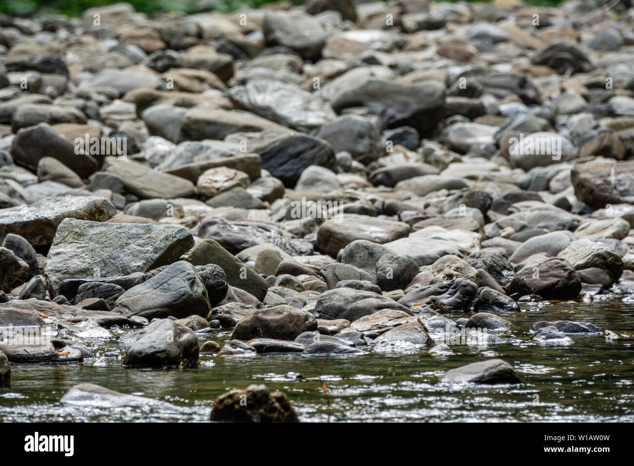 Large stones on the banks of a mountain river. The background image of ...