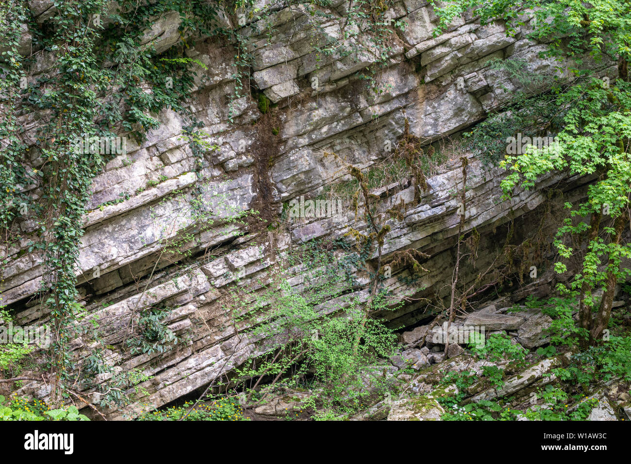 Rock of layered stone overgrown with grass and moss. The texture of ...