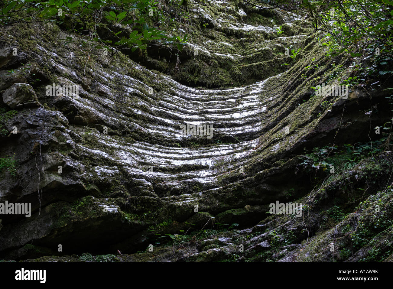 Rock of layered stone overgrown with grass and moss. The texture of ...
