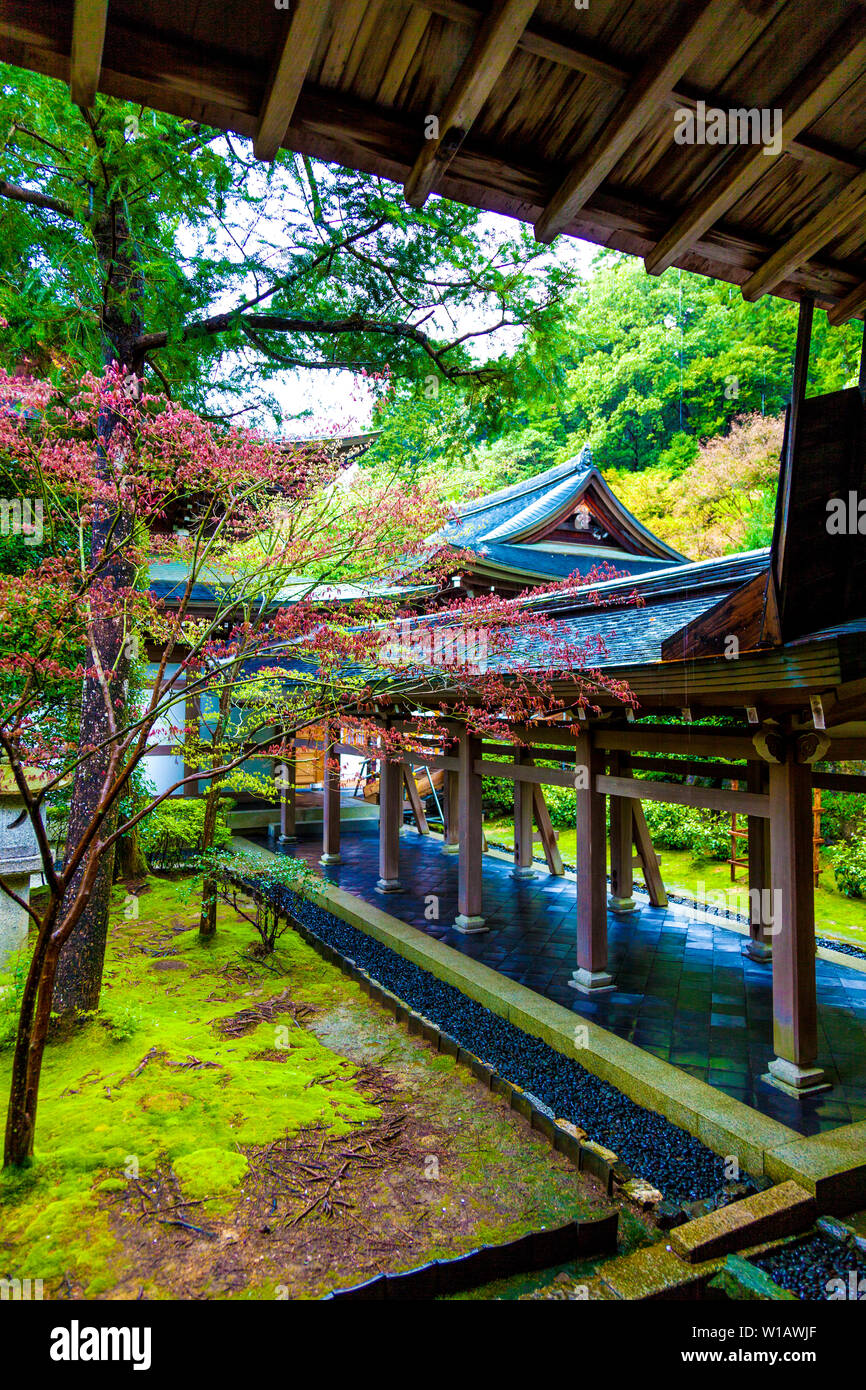 Myoshinji temple and gardens hi-res stock photography and images - Alamy