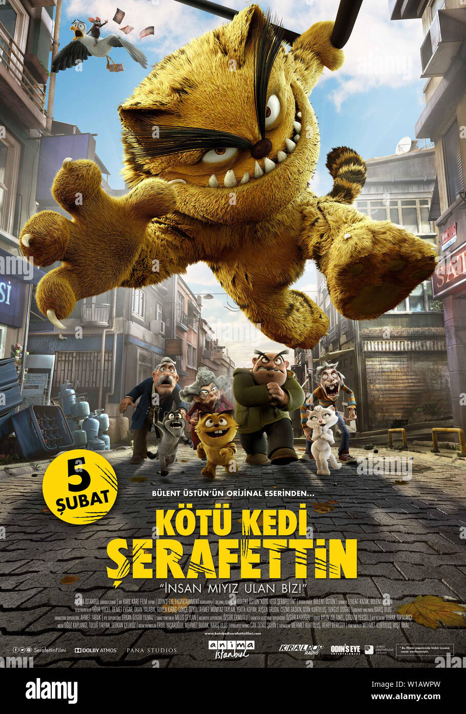 BAD CAT, (aka KOTU KEDI SERAFETTIN), Turkish poster, top: Serafettin ...