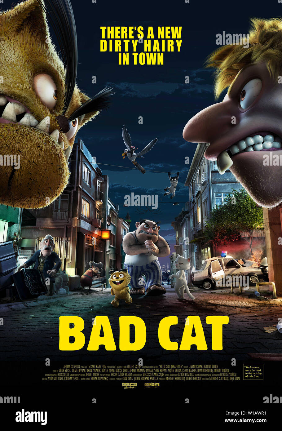 BAD CAT, (aka KOTU KEDI SERAFETTIN), poster, foreground from left ...