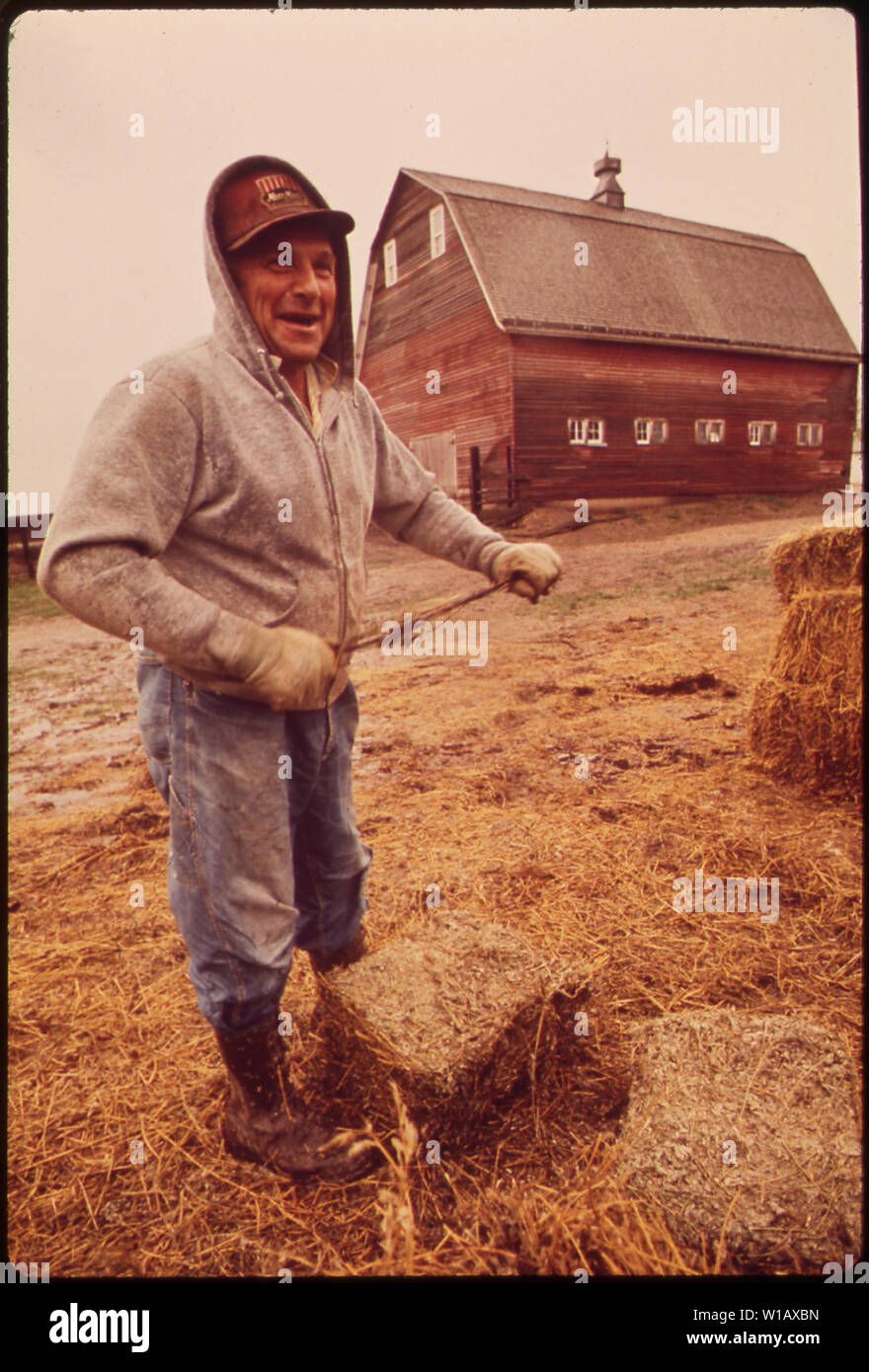 Baling hay in the rain on his farm near bee hi-res stock photography ...