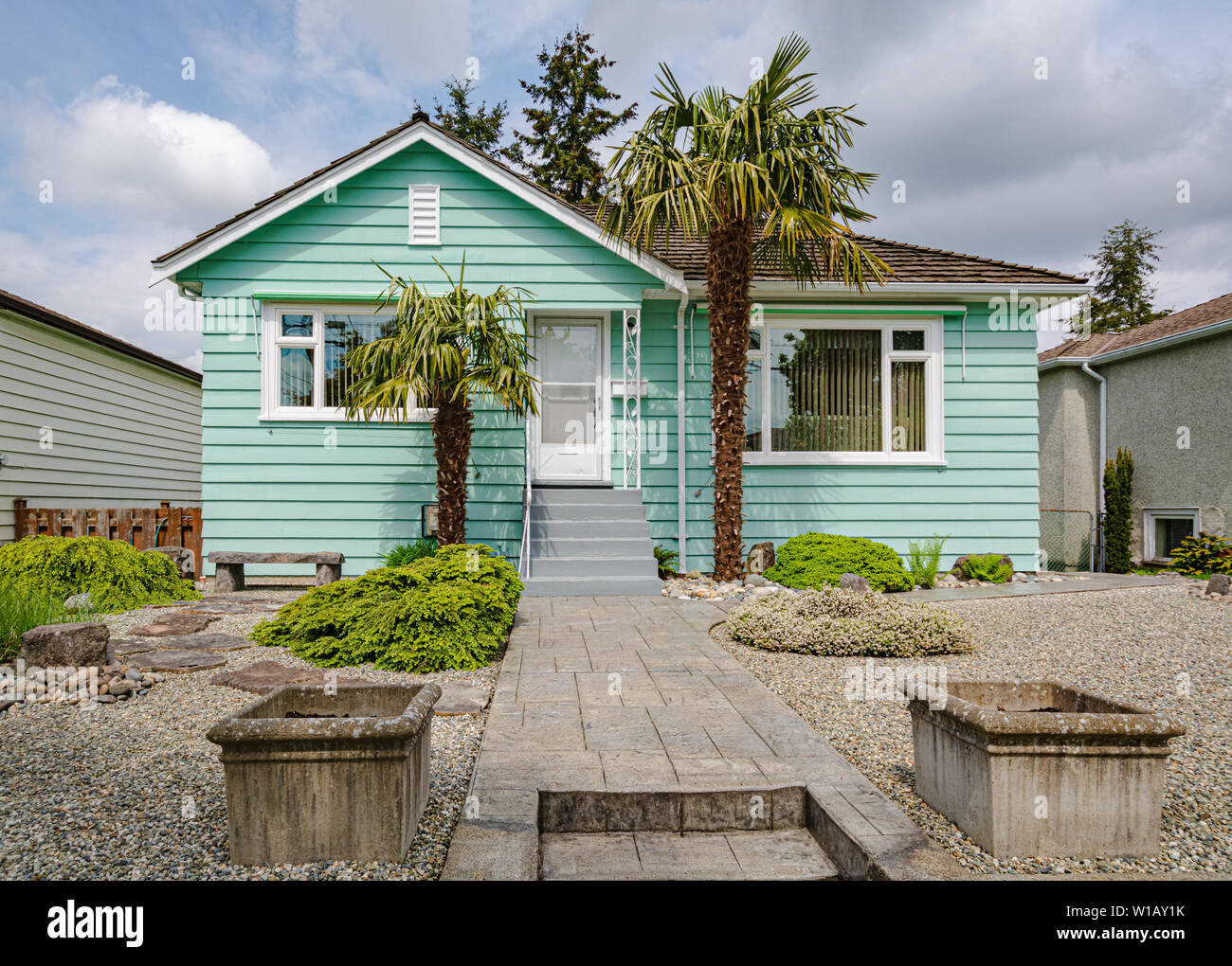 Decorative palm trees hi-res stock photography and images - Alamy