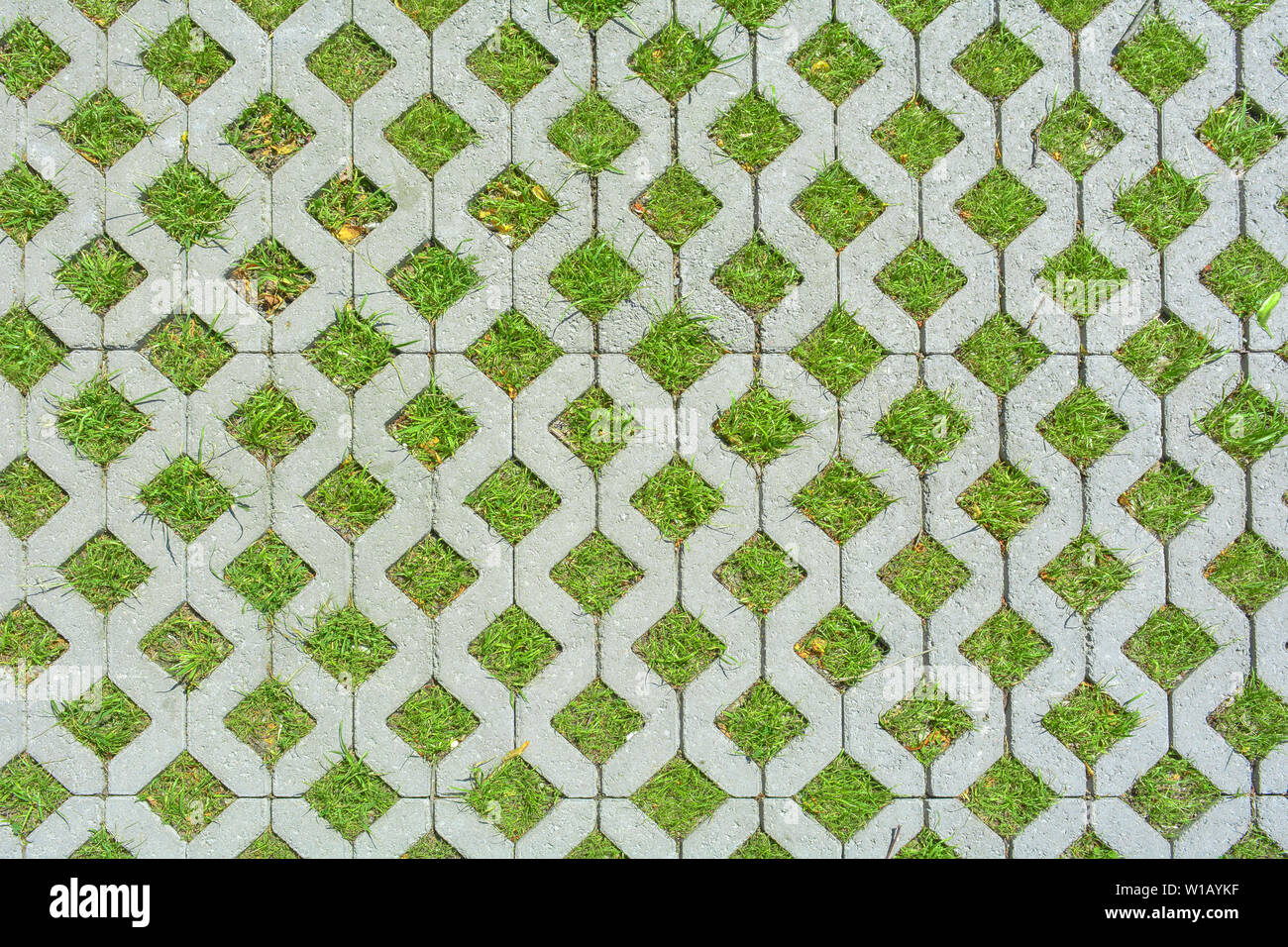 Geometric background of eco floor bricks and green grass. Eco parking ...