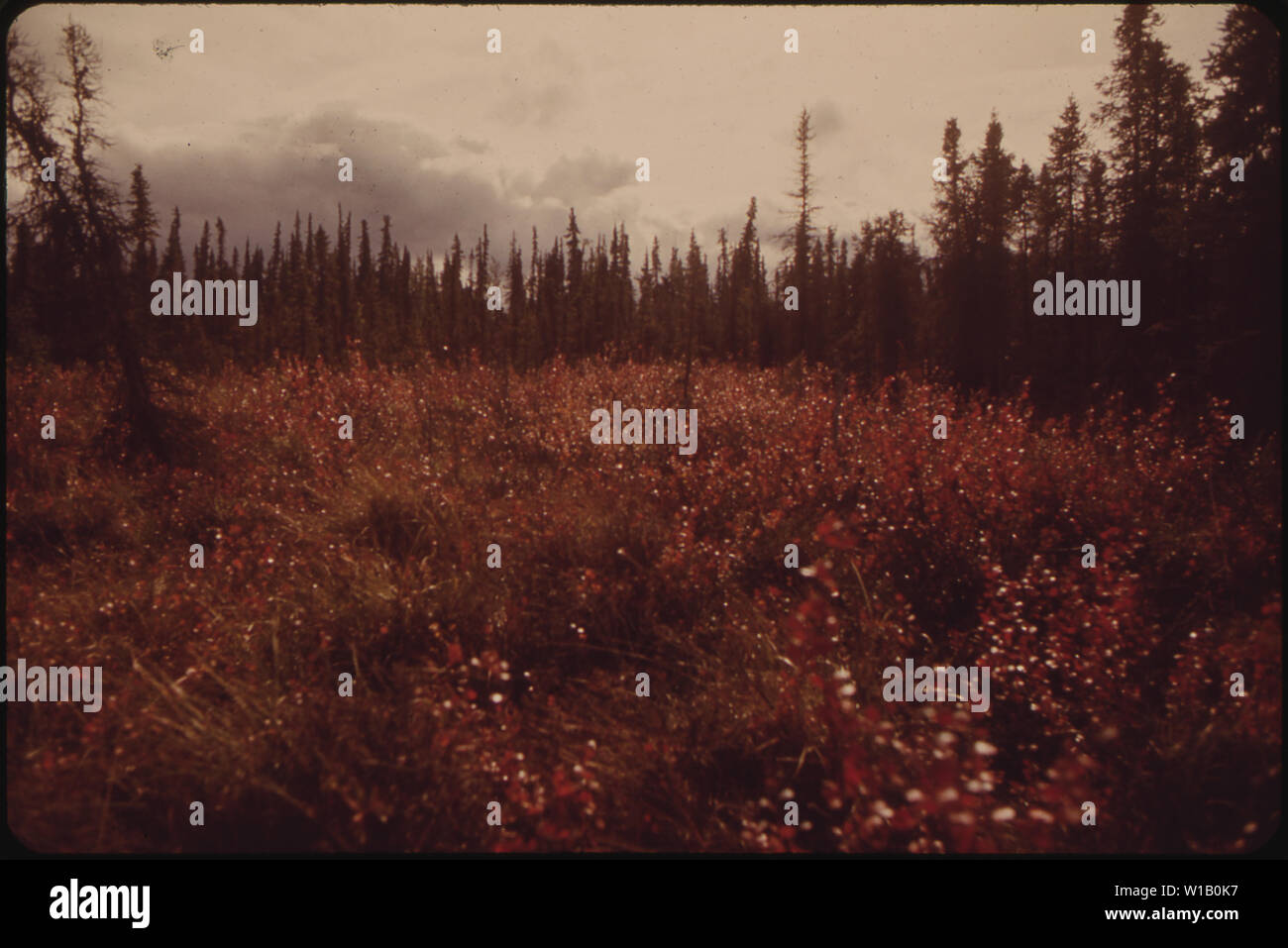 Inferior creek hi-res stock photography and images - Alamy