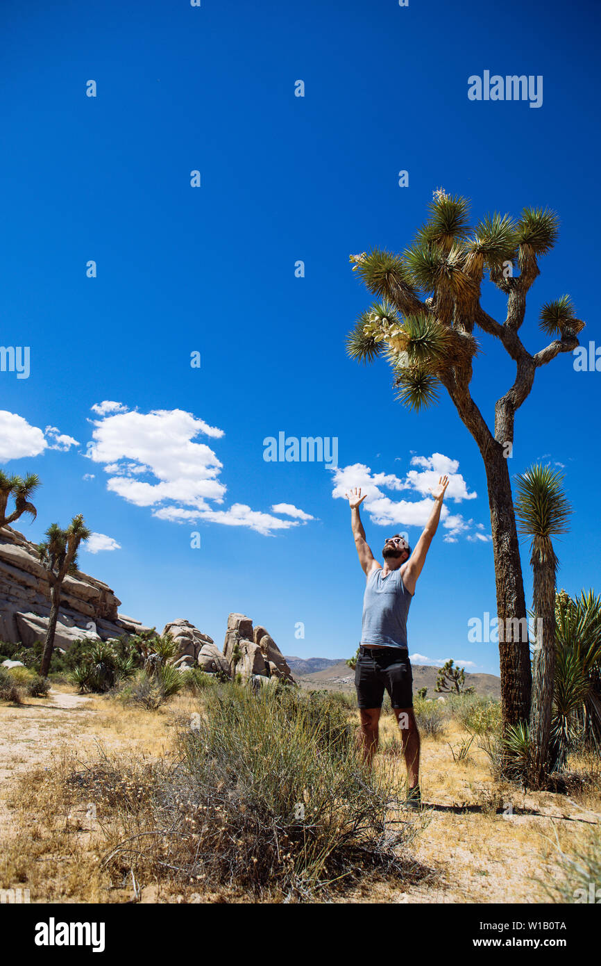 Joshua tree arms hi-res stock photography and images - Alamy