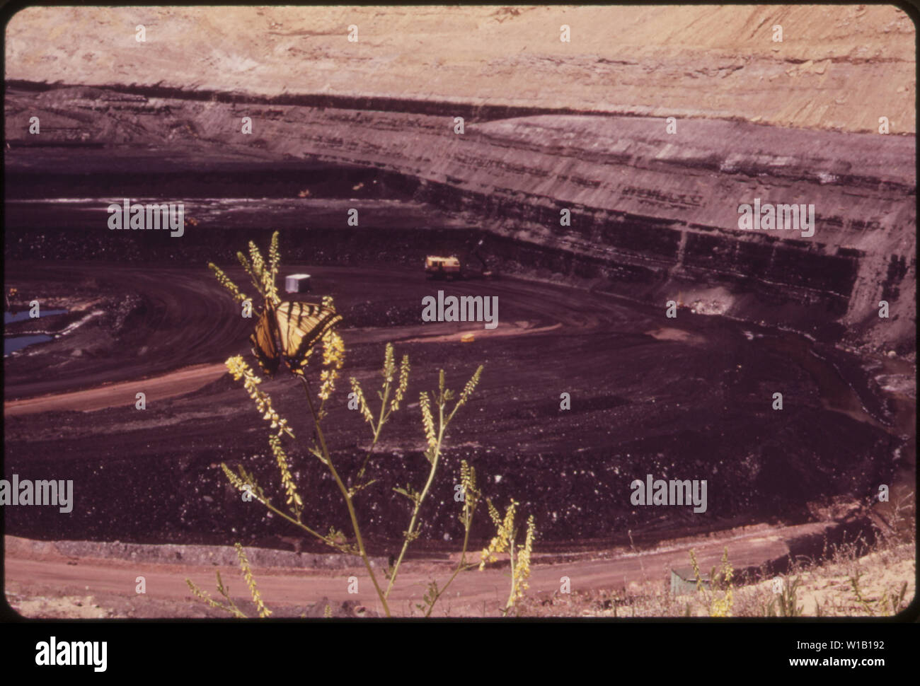 Butterfly mine hi-res stock photography and images - Alamy