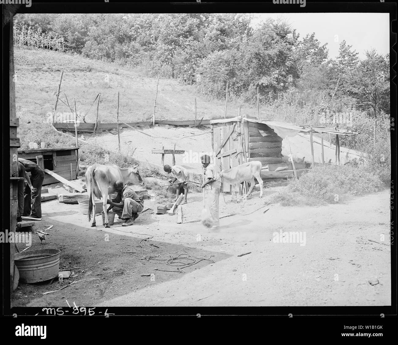Backyard of home of Butler Phillips, miner, who lives in company ...