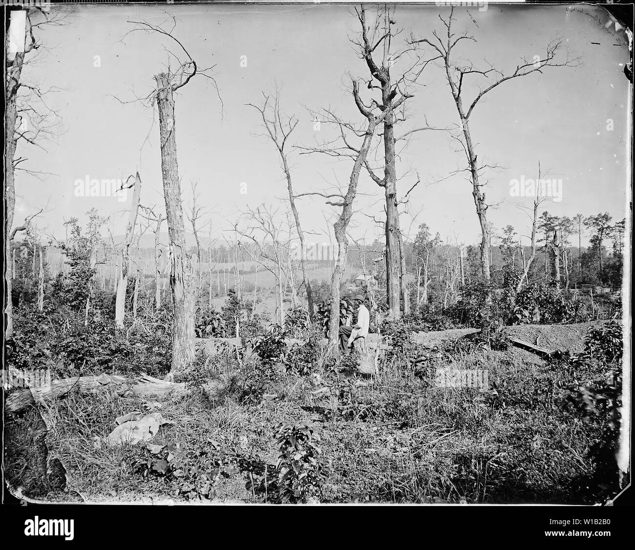 Battlefield of Resaca, Ga., 1864 Stock Photo - Alamy