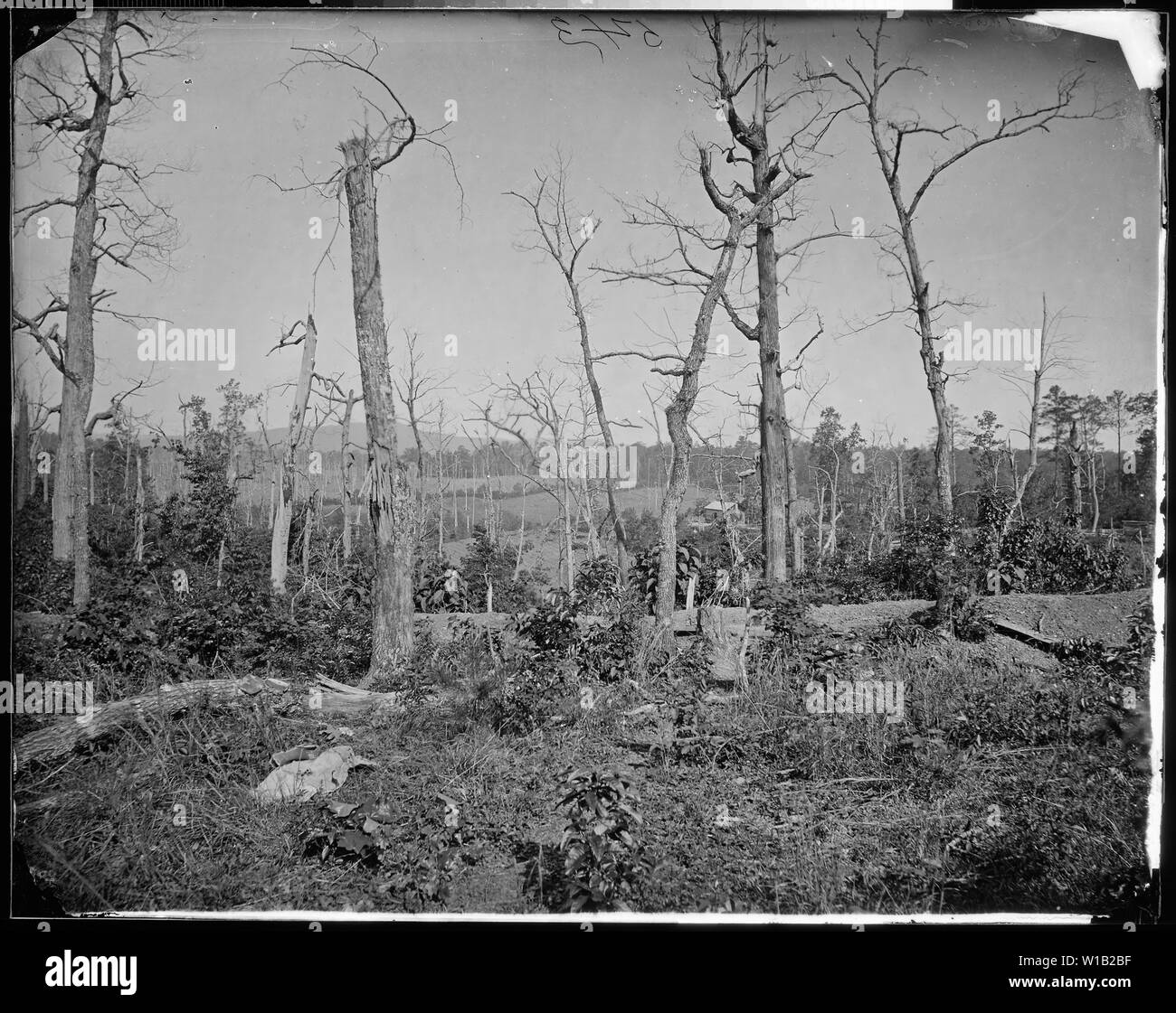 Battlefield of resaca hi-res stock photography and images - Alamy