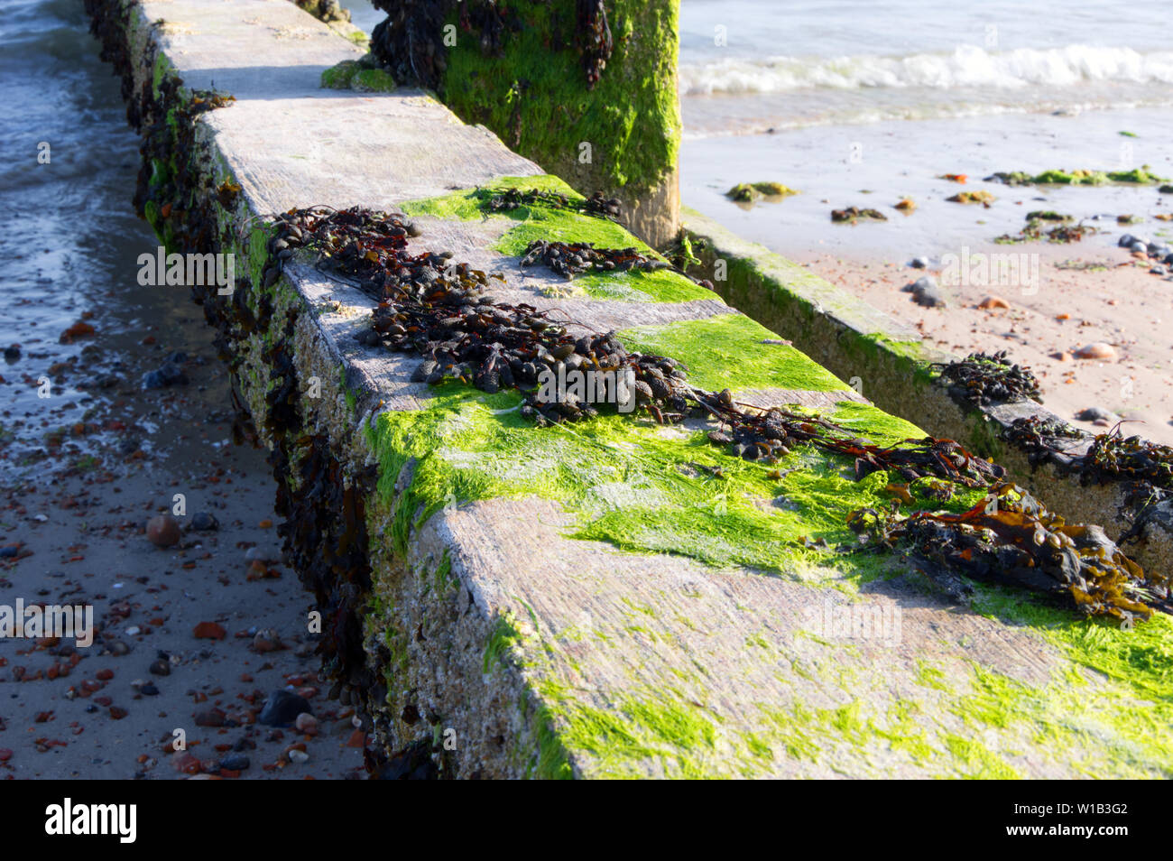 Shore scenes hi-res stock photography and images - Alamy