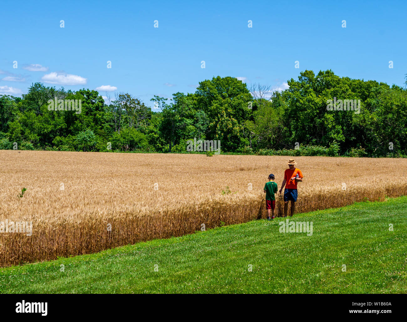 Boy working in farm field hi-res stock photography and images - Alamy