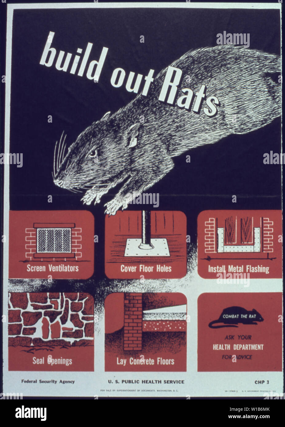Build Out Rats Stock Photo - Alamy