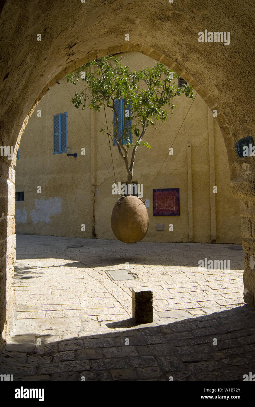 Floating Orange Tree, Yafo, Israel Stock Photo - Alamy