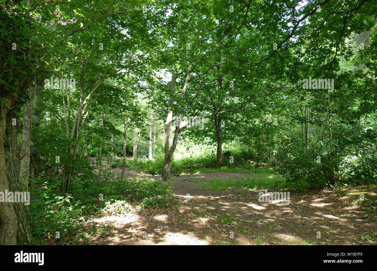 Stover country park and nature reserve hi-res stock photography and ...