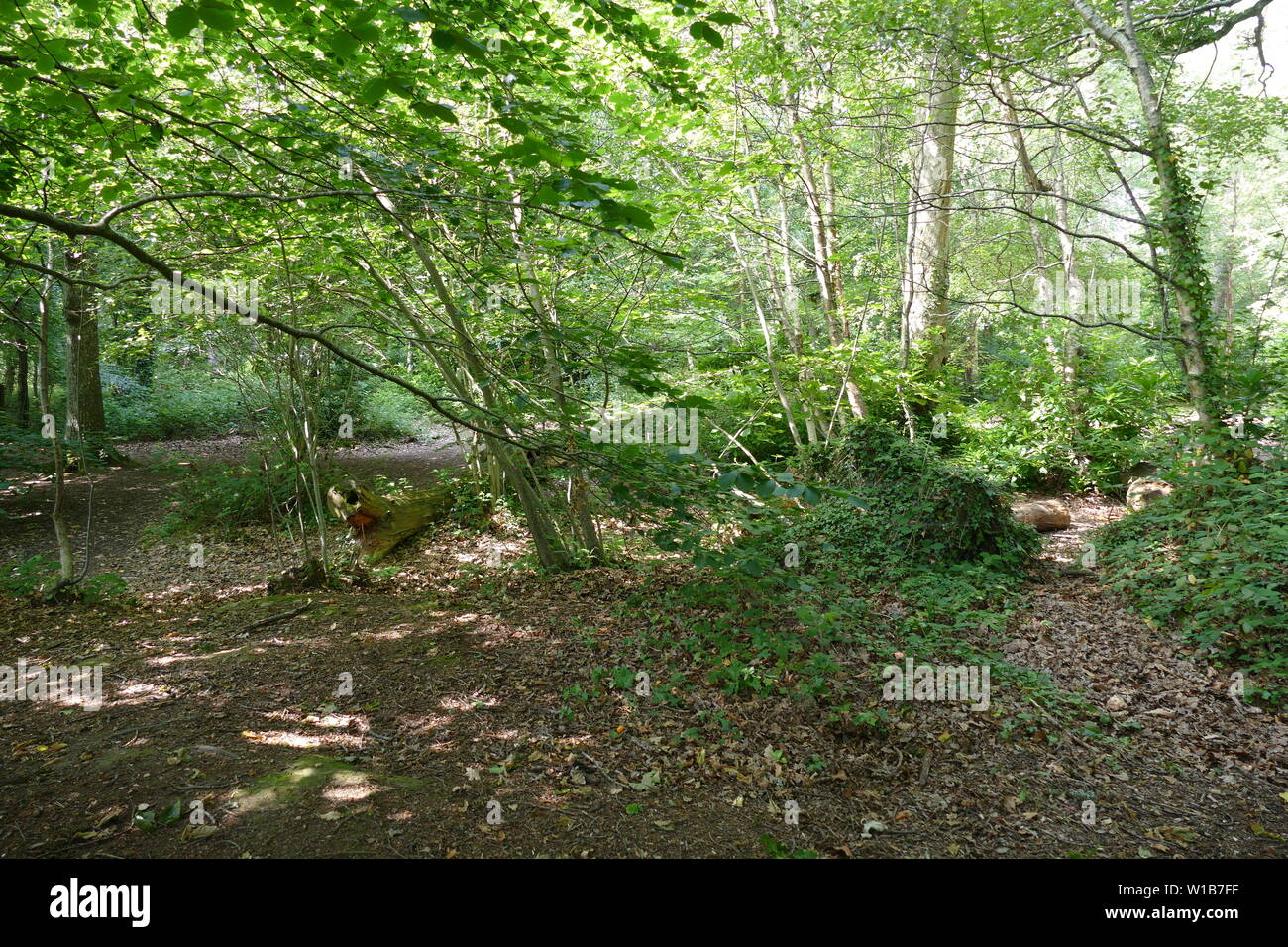 Stover Country Park And Nature Reserve High Resolution Stock ...
