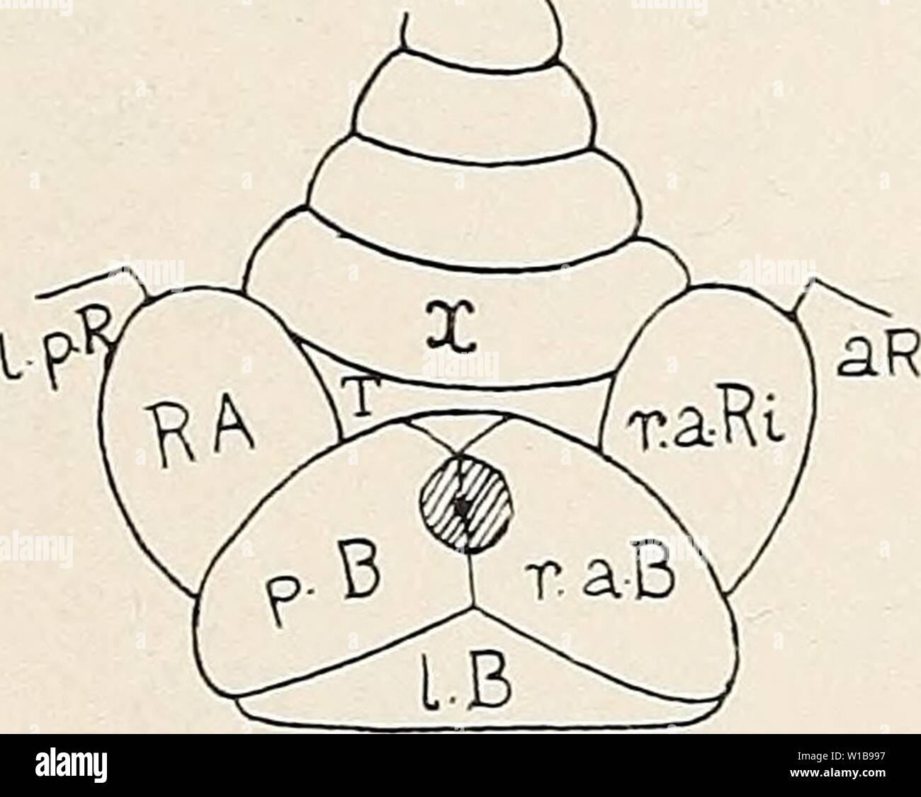Fused Bases High Resolution Stock Photography and Images - Alamy