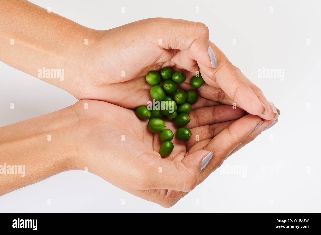 Green coffee beans in woman hand isolated on white background Stock ...