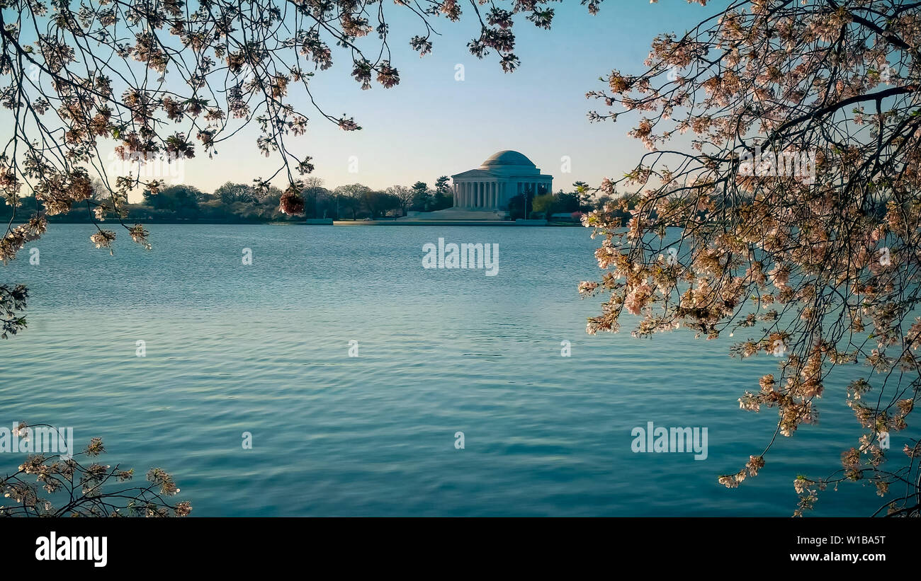 jefferson memorial with the tidal basin basin and cherry blossoms Stock ...