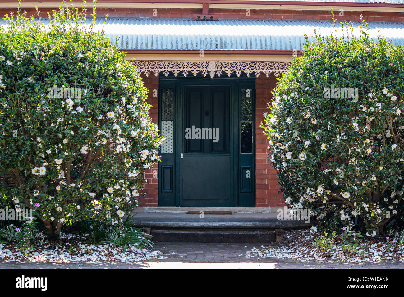 Front house entrance with large green wooden door, bull nose corrugated ...