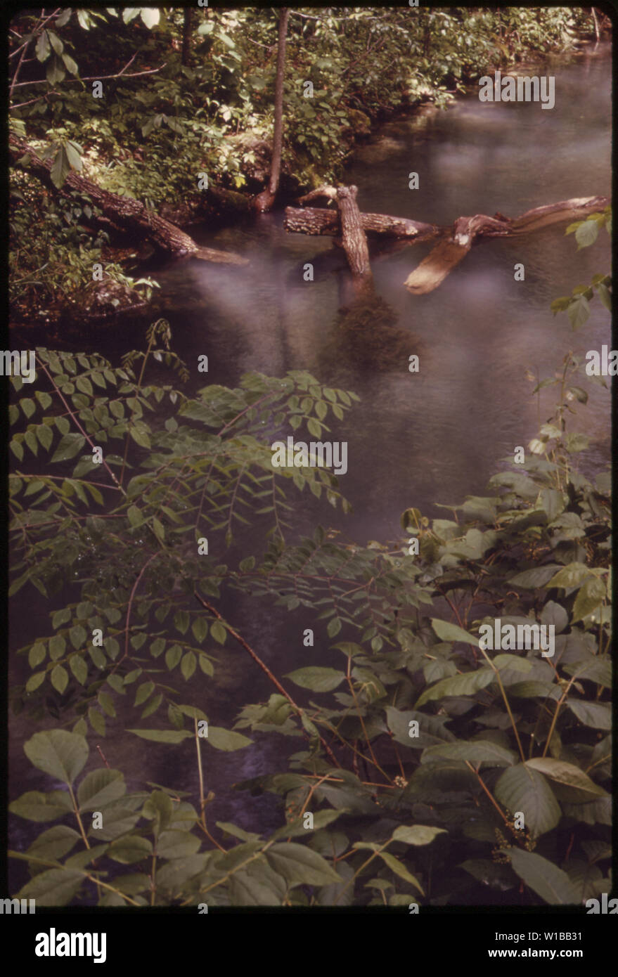 CHANNEL BETWEEN TWO LAKES FORMED BY GUNTER'S BIG SPRING IN THE HA HA ...