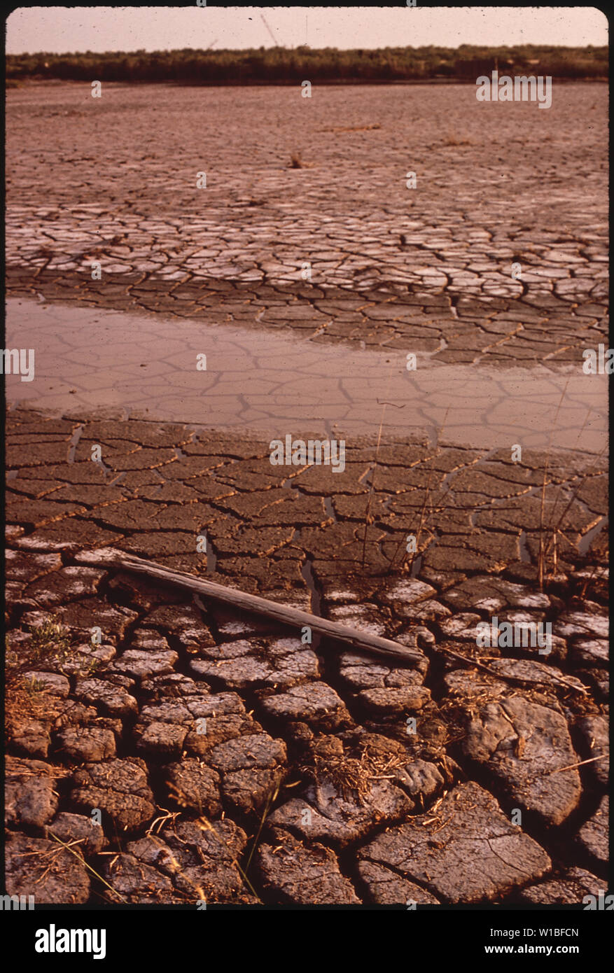 CRACKED, DRIED MUD REMAINS AFTER DRAINING OF MARSH Stock Photo - Alamy
