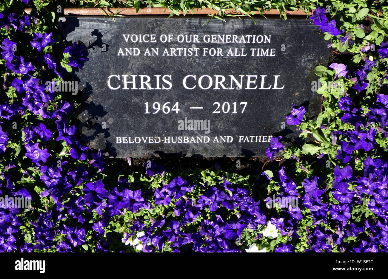 Hollywood, California, USA July 1, 2019 A general view of atmosphere of ...