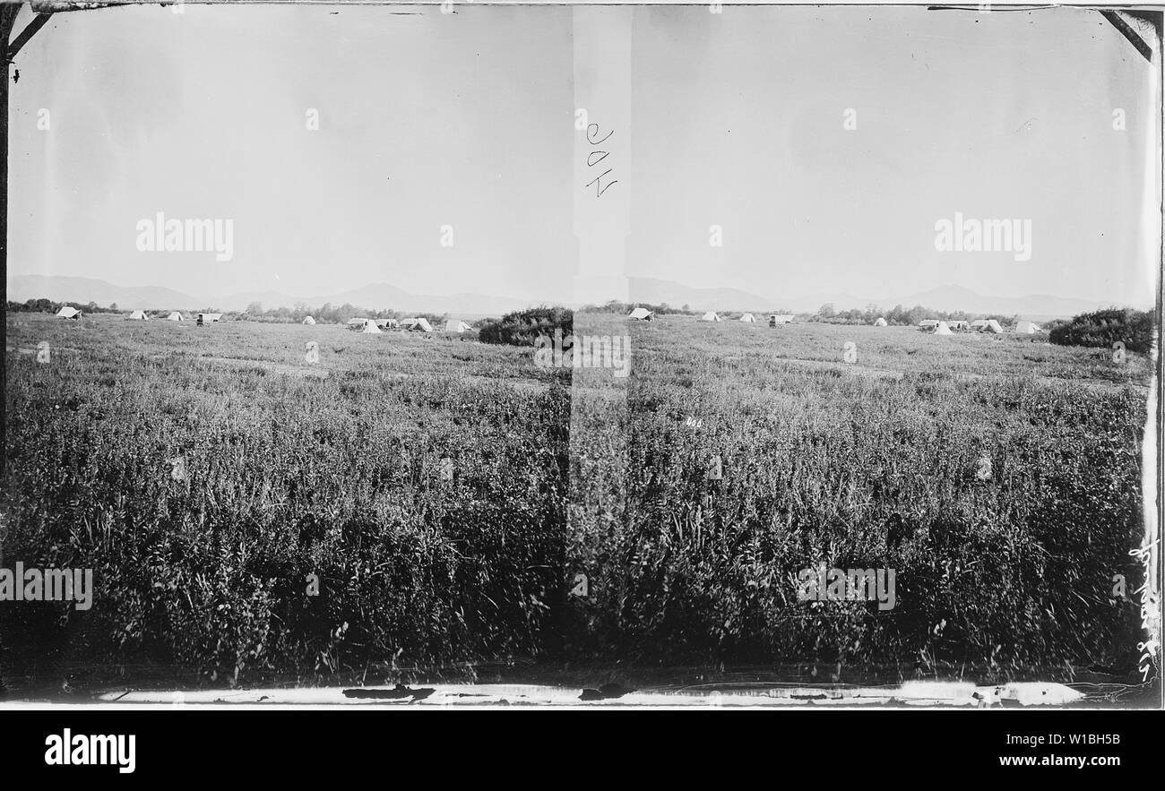Camp near Fort Ellis, near Bridger Canyon. Gallatin County, Montana ...