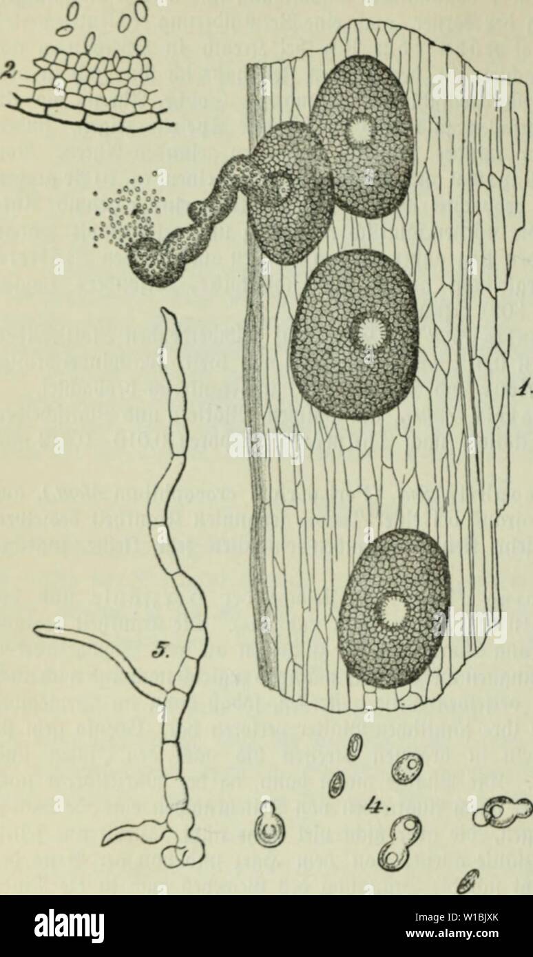 415 c d hi-res stock photography and images - Alamy