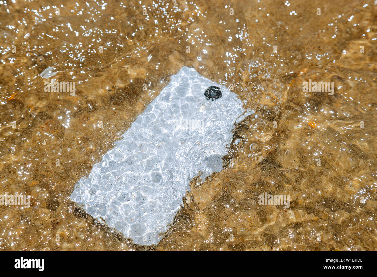 Damage and wet smart phone dropped on flooding with water of sea ...