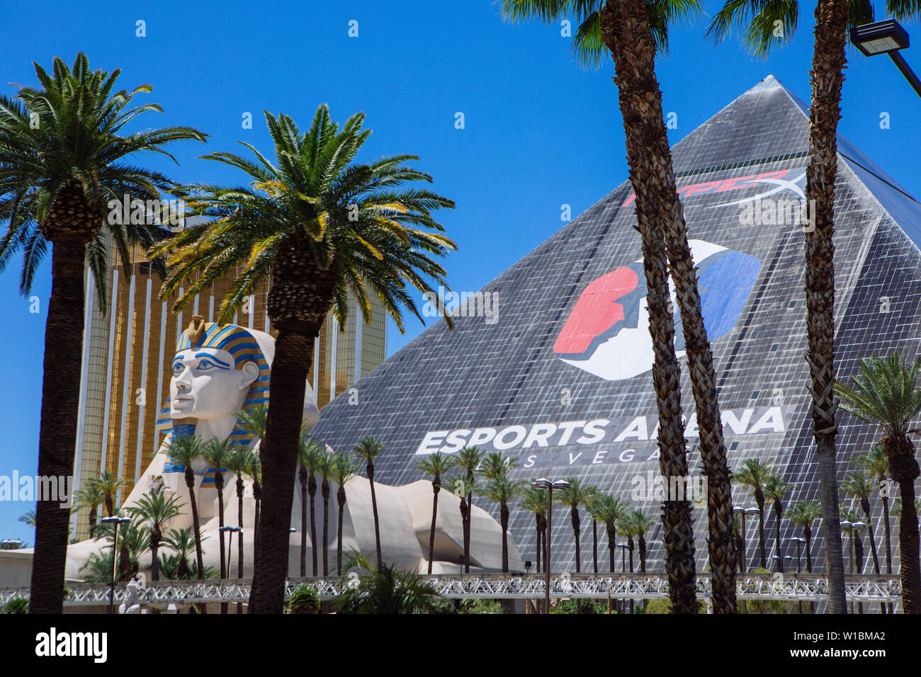 Esports arena hi-res stock photography and images - Alamy