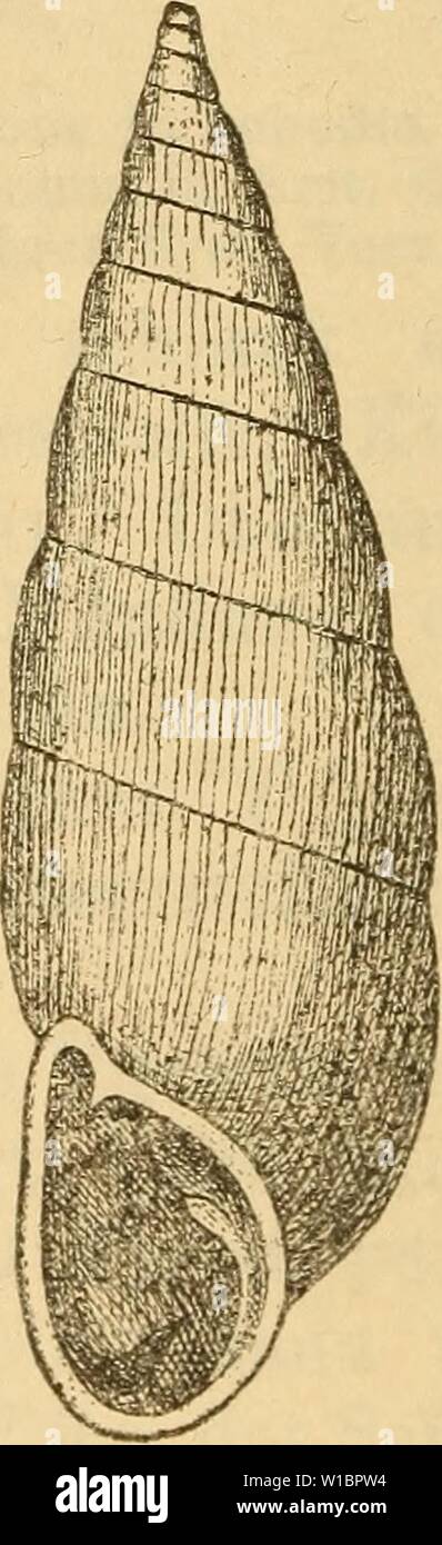 Weiße wellenlinien hi-res stock photography and images - Alamy