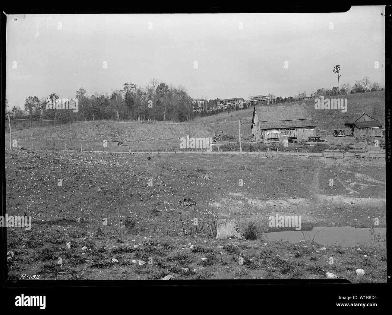 Close-up of site for proposed garden and poultry center. The pond in ...