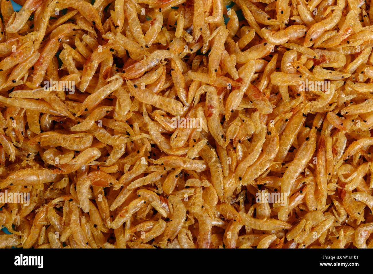 Lots of shrimp hi-res stock photography and images - Alamy