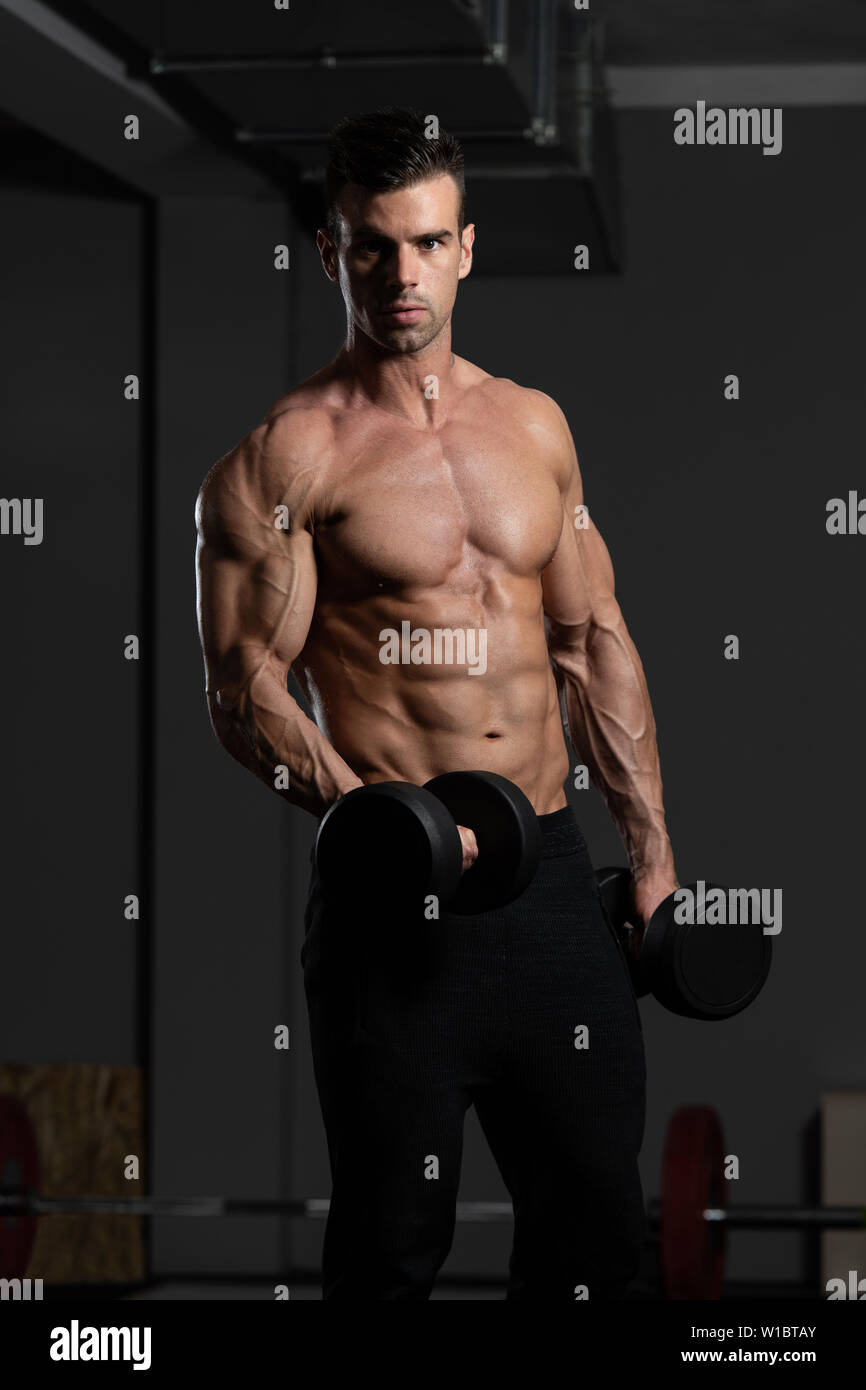 Man Working Out Biceps In A Gym - Dumbbell Concentration Curls Stock ...
