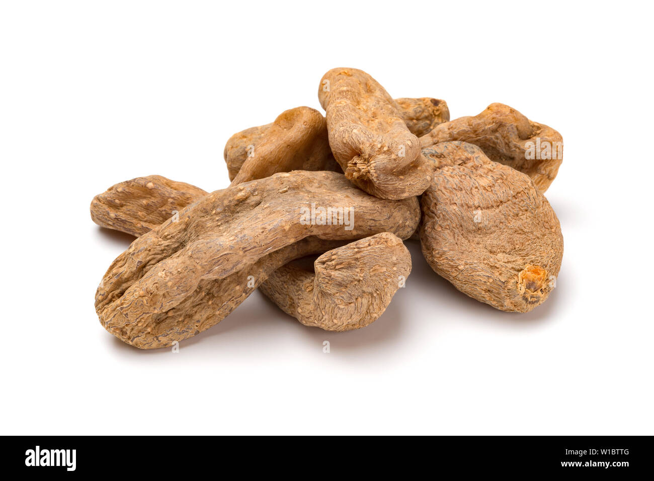 Tall gastrodiae hi-res stock photography and images - Alamy