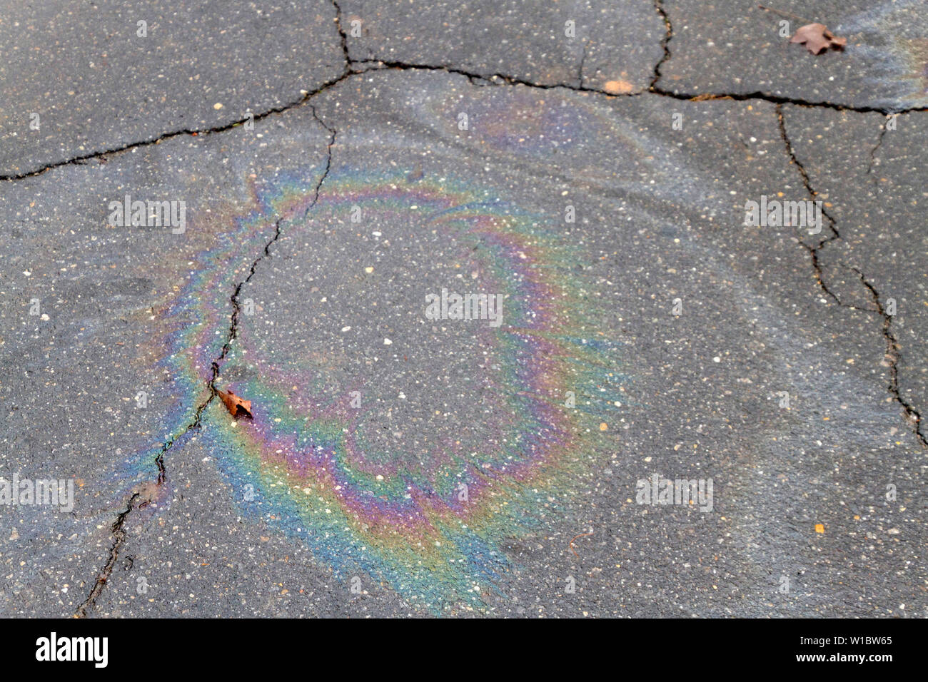 Close-up of a colorful, toxic oil slick spilled on an cracked asphalt ...