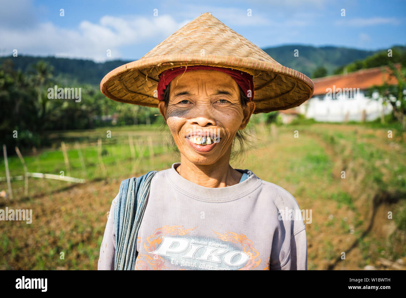 Central java agriculture hi-res stock photography and images - Alamy